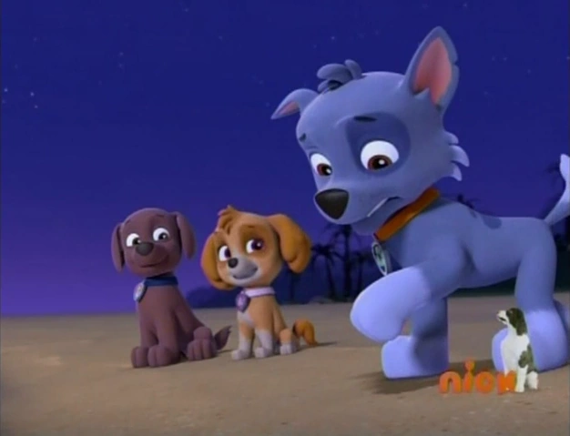 Rocky/Gallery/Pups Save a Mer-Pup | PAW Patrol Wiki | Fandom