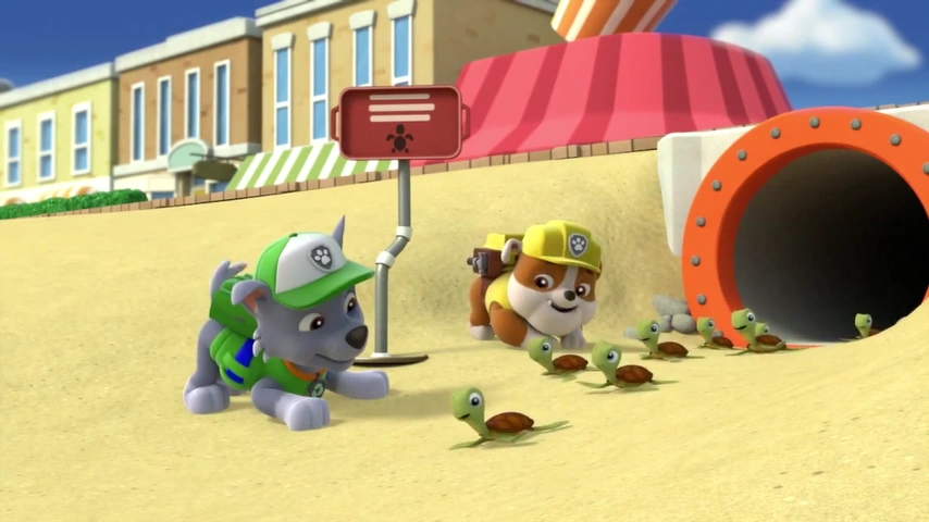 Pups Save the Sea Turtles/Quotes | PAW Patrol Wiki | Fandom