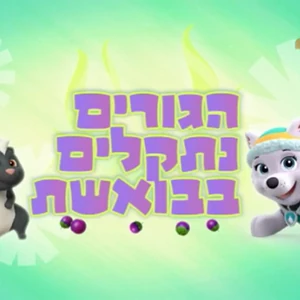 Discuss Everything About PAW Patrol Wiki | Fandom