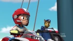 Pups Rescue a Rescuer/Gallery | PAW Patrol Wiki | Fandom