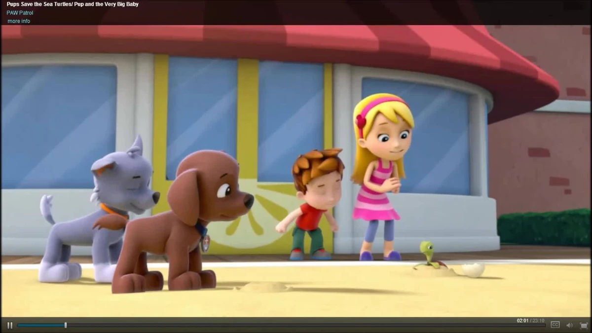 Katie/Gallery/Pups Save the Sea Turtles | PAW Patrol Wiki | Fandom