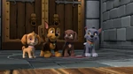 Zuma/Gallery/Rescue Knights: Pups Save a Dozing Dragon | PAW Patrol ...