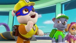 Pups Save Jake/Quotes | PAW Patrol Wiki | Fandom