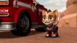 Wild/Gallery/Moto Pups: Pups vs. the Ruff-Ruff Pack | PAW Patrol Wiki ...
