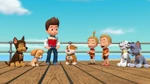 Skye/Gallery/Pups Save the Wacky Water Skiers | PAW Patrol Wiki | Fandom