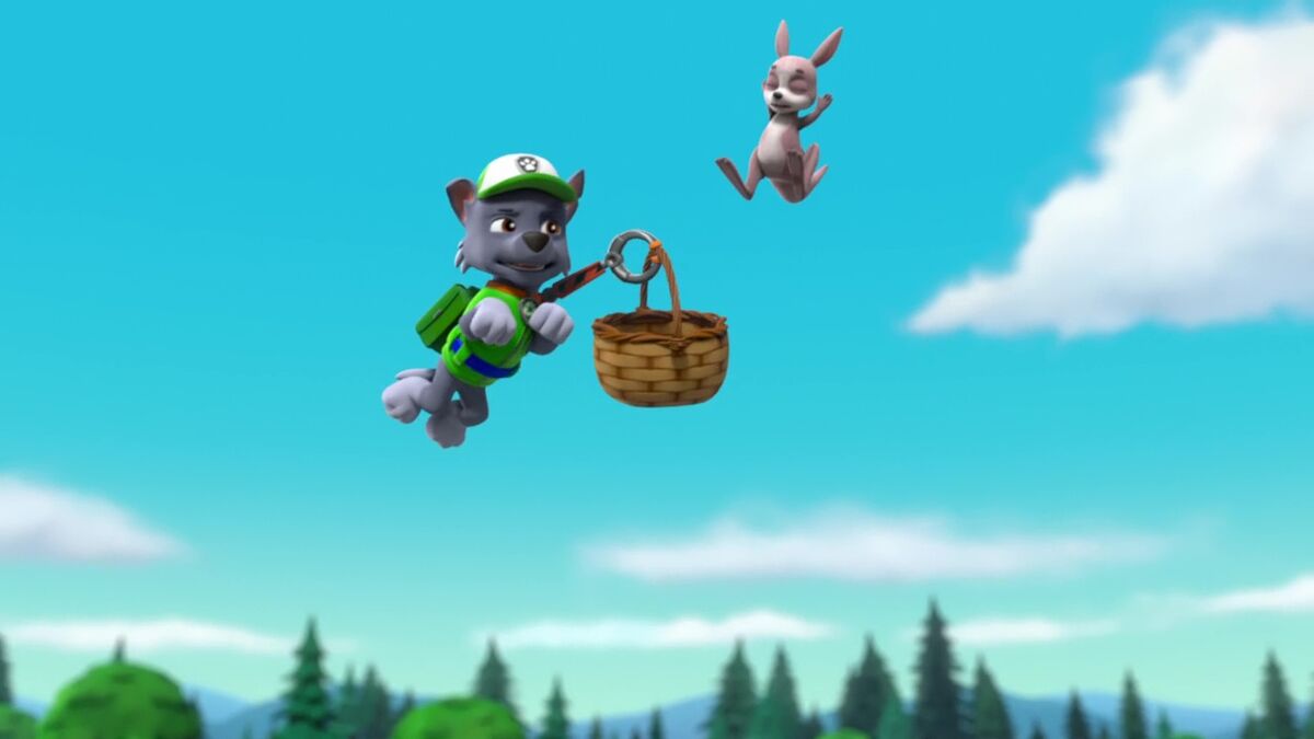 Pups Save A Rooquotes Paw Patrol Wiki Fandom
