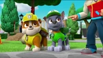 Pups Save Alex's Mini-Patrol/Gallery | PAW Patrol Wiki | Fandom