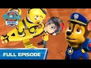 Pups Save Daring Danny X/Videos | PAW Patrol Wiki | Fandom