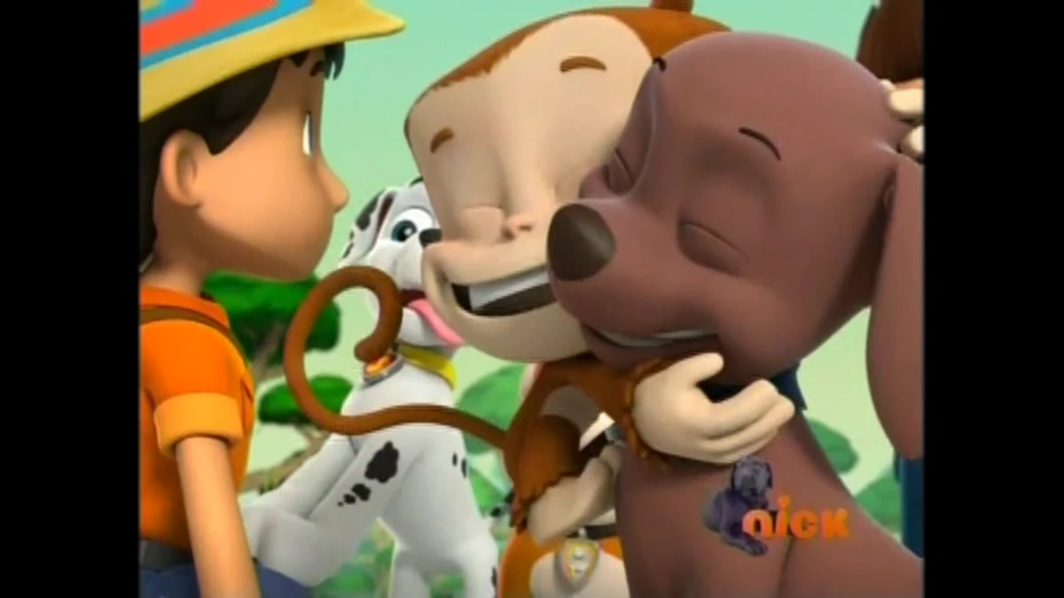 Zuma/Gallery/Pups Save the Parrot | PAW Patrol Wiki | Fandom