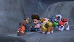 Skye/Gallery/Pup-Fu! | PAW Patrol Wiki | Fandom