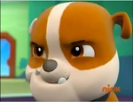 Rubble/Gallery/Pups and the Lighthouse Boogie | PAW Patrol Wiki | Fandom