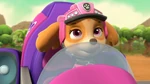 Skye/Gallery/Dino Rescue: Pups Save a T-Rex Tyke | PAW Patrol Wiki | Fandom
