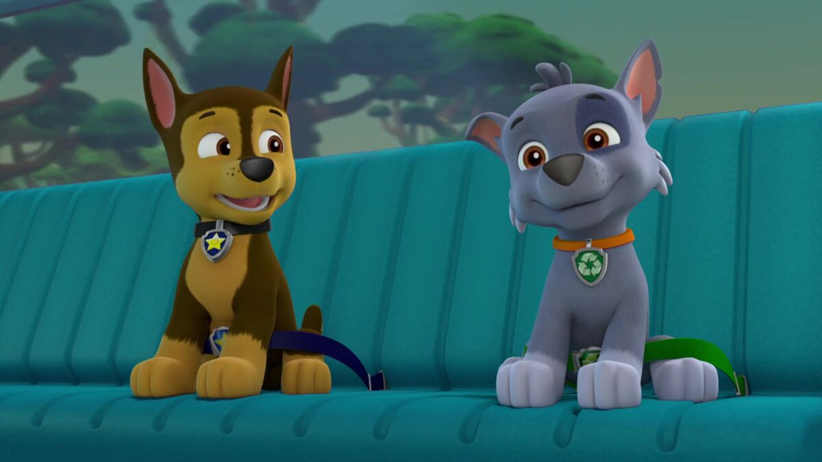 Chase/Gallery/Pups Save the Bubble Monkeys | PAW Patrol Wiki | Fandom