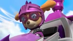 Skye/Gallery/Rescue Knights: Pups Save a Dozing Dragon | PAW Patrol ...