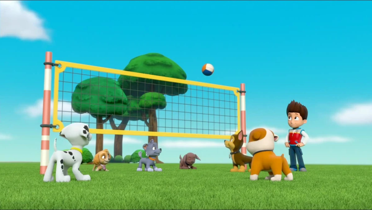 Chase/Gallery/Pups Save the Runaway Turtles | PAW Patrol Wiki | Fandom