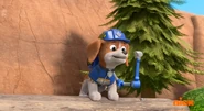 Wheeler | PAW Patrol Wiki | Fandom