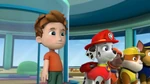 Marshall/Gallery/Pups Save Alex | PAW Patrol Wiki | Fandom