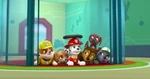 Skye/Gallery/Pups Get Stuck | PAW Patrol Wiki | Fandom