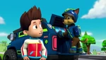 Pups Save a Lost Tooth/Gallery | PAW Patrol Wiki | Fandom
