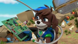 Moby/Appearances | PAW Patrol Wiki | Fandom