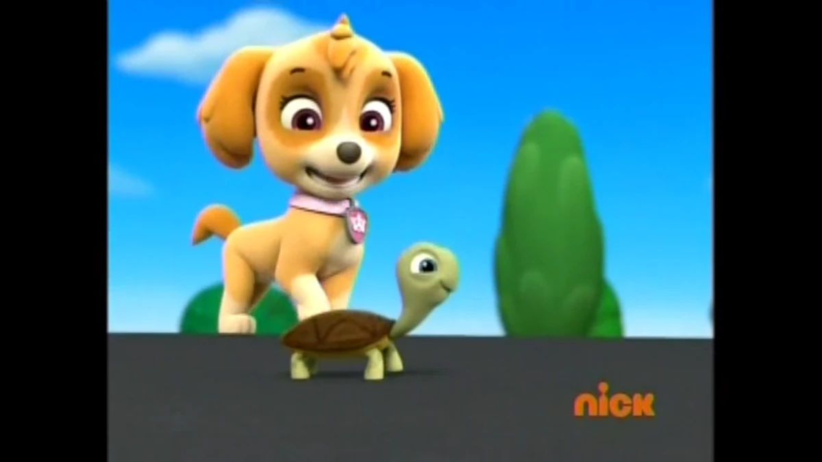 Star/Gallery/Pups and the Trouble with Turtles | PAW Patrol Wiki | Fandom