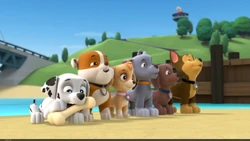 Pups Save a Walrus/Quotes | PAW Patrol Wiki | Fandom