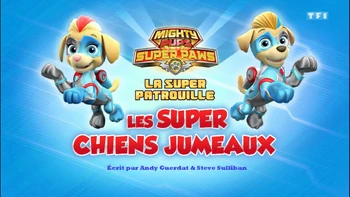 Mighty Pups, Super Paws: Pups Meet the Mighty Twins | PAW Patrol Wiki ...