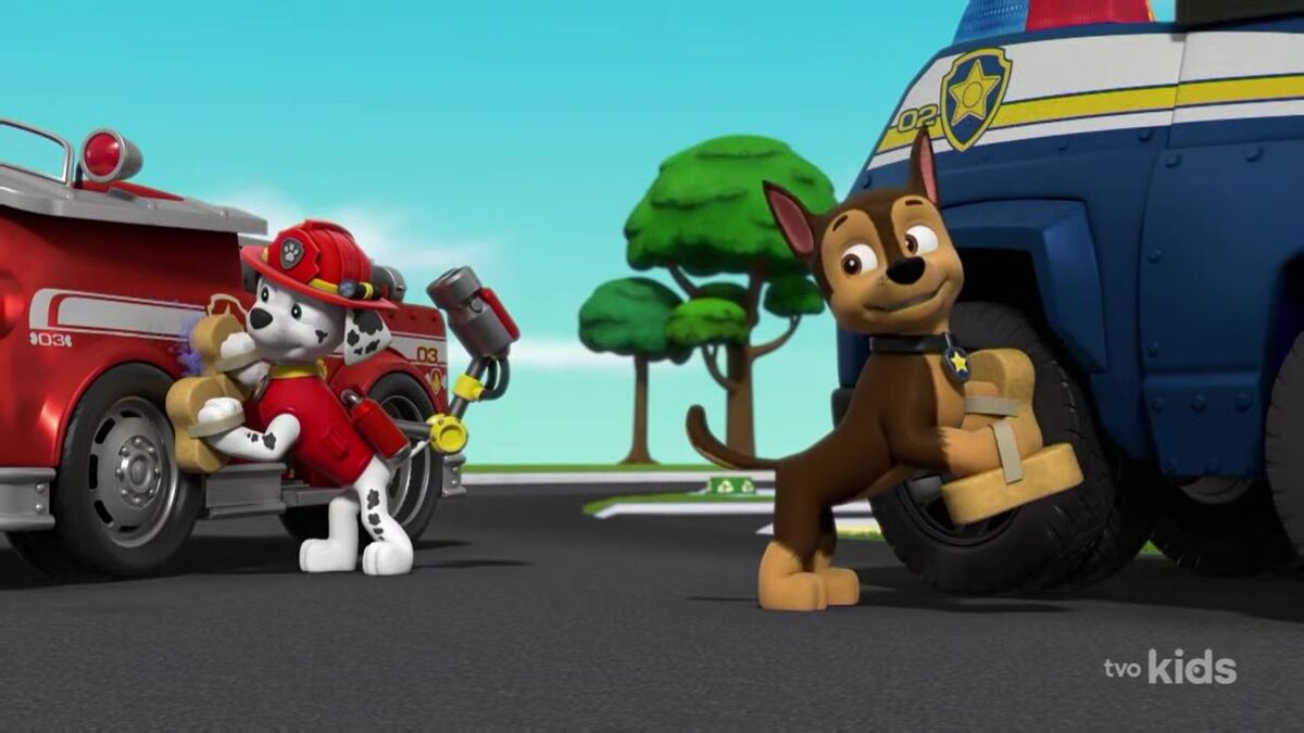 Pups Save A Shiny Ride Trivia Paw Patrol Wiki Fandom