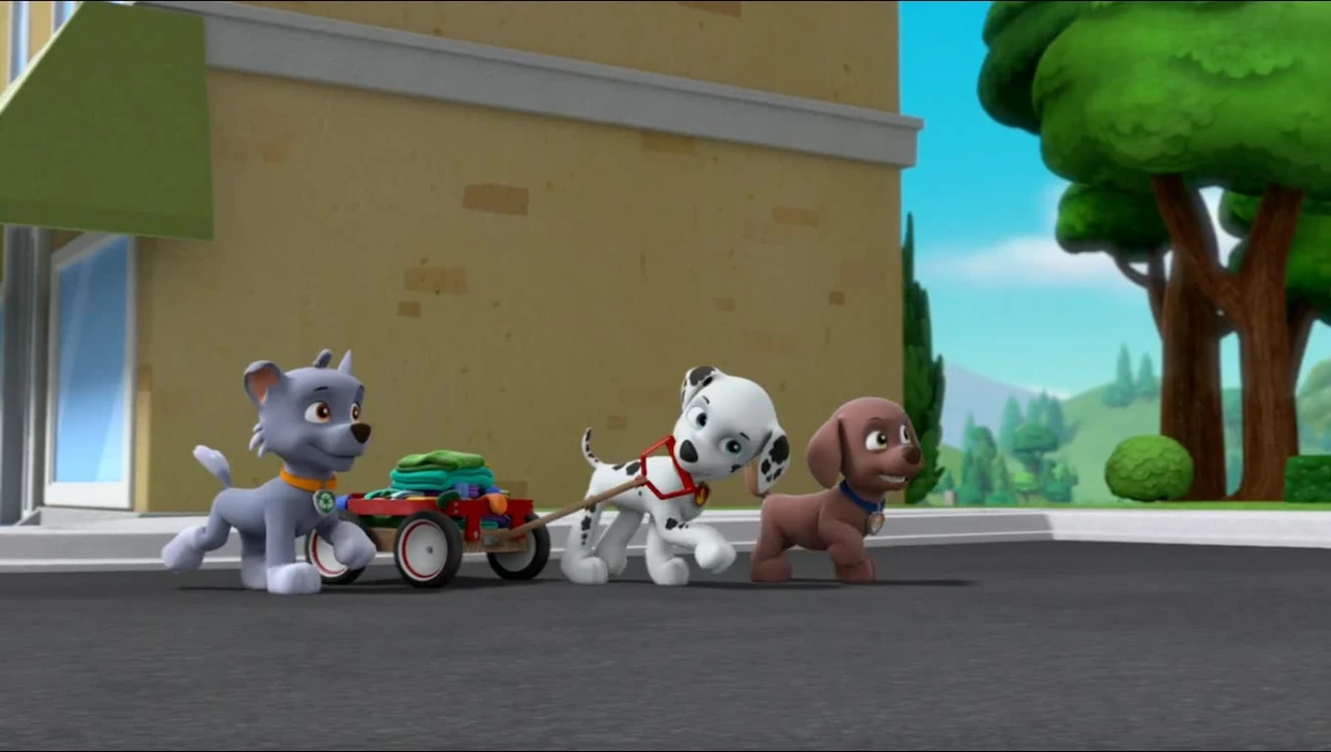 Zuma/Gallery/Pups Save the Shivering Sheep | PAW Patrol Wiki | Fandom