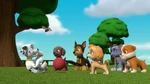 Chase/Gallery/Dino Rescue: Pups Save a T-Rex Tyke | PAW Patrol Wiki ...