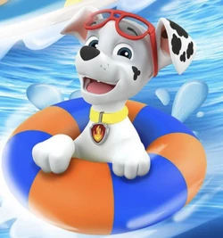 Marshall In A Pool Paw Patrol Clipart Png, 43% OFF