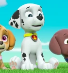 Marshall/Gallery/Pups Save Tiny Marshall | PAW Patrol Wiki | Fandom
