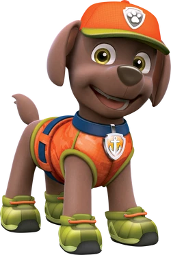 What Kind Of Dog Is Zuma In Paw Patrol