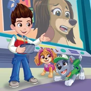Big City Adventures | PAW Patrol Wiki | Fandom