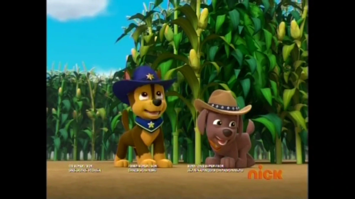 Zuma/Gallery/Pups Save the Corn Roast | PAW Patrol Wiki | Fandom