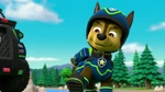 Pups Save Luke Stars/Gallery | PAW Patrol Wiki | Fandom