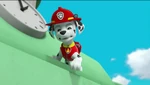Pups Save Alex's Mini-Patrol/Gallery | PAW Patrol Wiki | Fandom