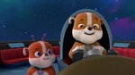 Rubble-Double/Gallery/Pups Save a Rubble-Double | PAW Patrol Wiki | Fandom