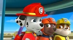 Pups Save a Bat/Gallery | PAW Patrol Wiki | Fandom