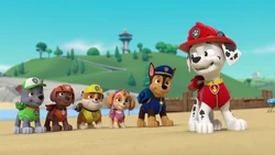 Pups Take in a Runaway Kitty!/Quotes | PAW Patrol Wiki | Fandom
