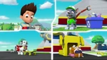 Pups Save a Lost Tooth/Gallery | PAW Patrol Wiki | Fandom