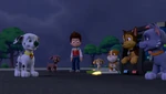Pups Save a High-Flying Skye/Gallery | PAW Patrol Wiki | Fandom