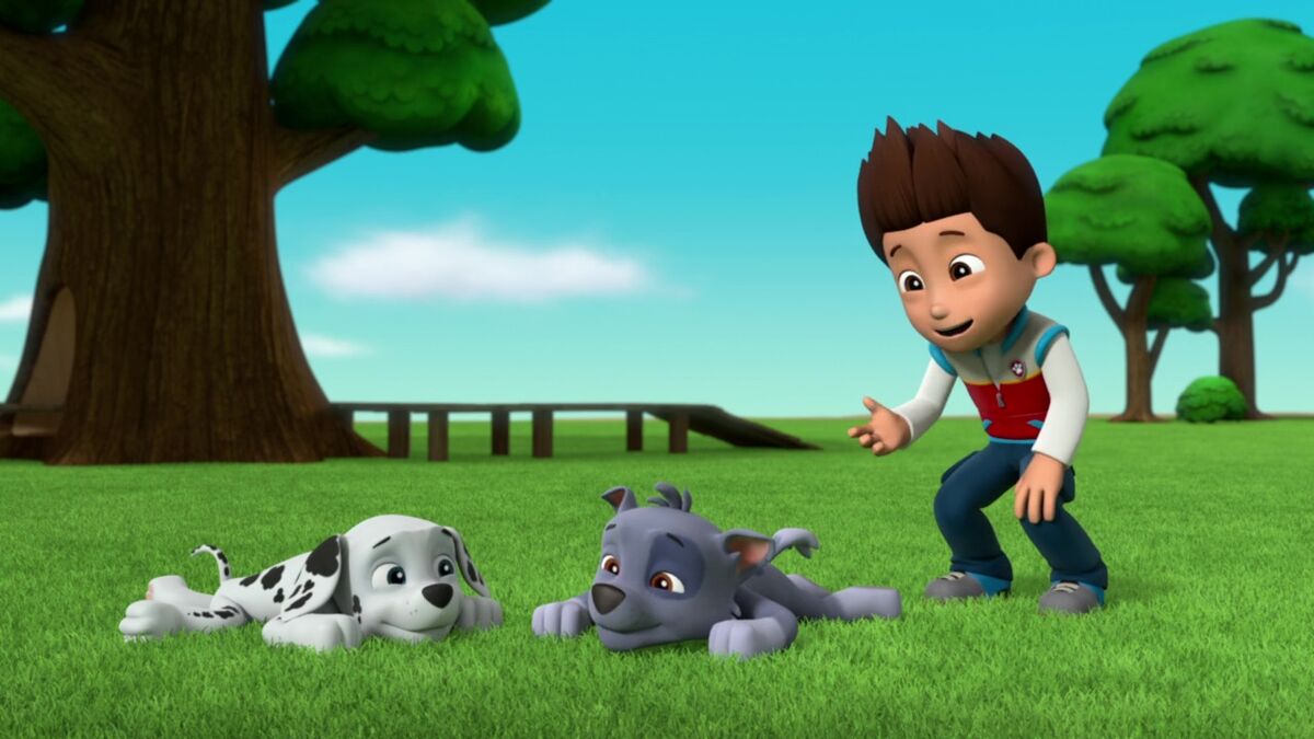 Rydergallerypups Save A Roo Paw Patrol Wiki Fandom