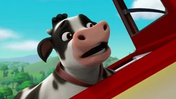 Pups Save a Cow/Trivia | PAW Patrol Wiki | Fandom