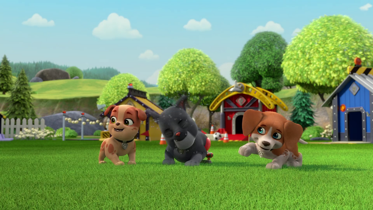 Mixgallerythe Crew Builds A Super Tub Paw Patrol Wiki Fandom