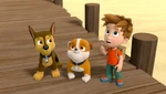 Pups in a Fix/Gallery | PAW Patrol Wiki | Fandom