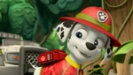 Pups and the Stinky Bubble Trouble/Gallery | PAW Patrol Wiki | Fandom