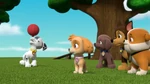 Chase/Gallery/Dino Rescue: Pups Save a T-Rex Tyke | PAW Patrol Wiki ...