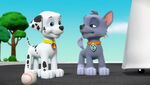 Pups Save Tiny Marshall/Gallery | PAW Patrol Wiki | Fandom