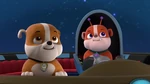 Rubble-Double/Gallery/Pups Save a Rubble-Double | PAW Patrol Wiki | Fandom